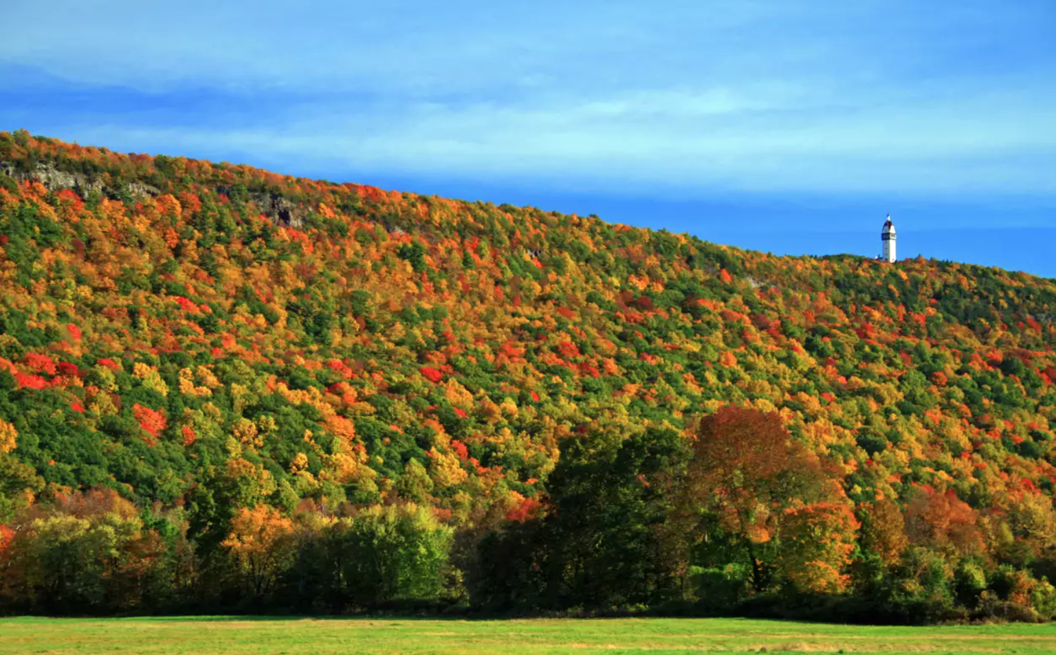 Tower Ridge Disc Golf - Connecticut’s Premier Disc Golf Destination